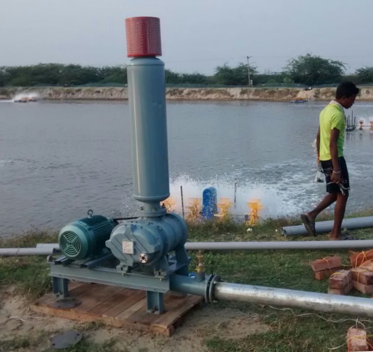 Aquaculture Blowers – Root Blowers, Twin Lobe Roots Blowers ...